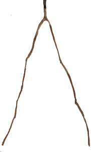 Dowsing Speaker & Instructor - Dowsing Courses - Dale Miller Water Dowser